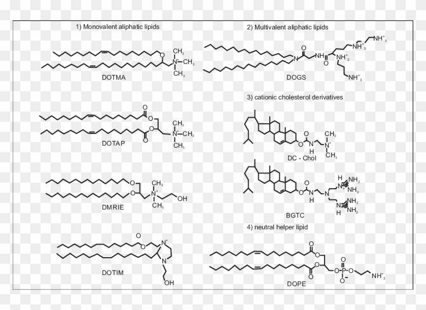 Structure Of Current Cationic Lipids Used In Gene Therapy - Dope Lipid, HD Png Download ...