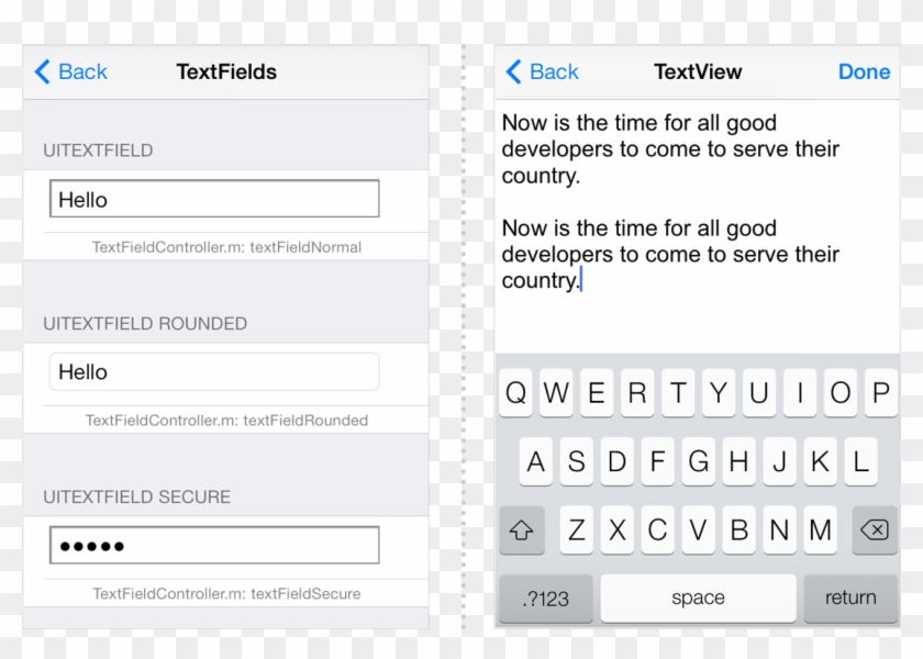 Text Classes In The Uicatalog Application Ios Input Field Hd Png Download 1298x866