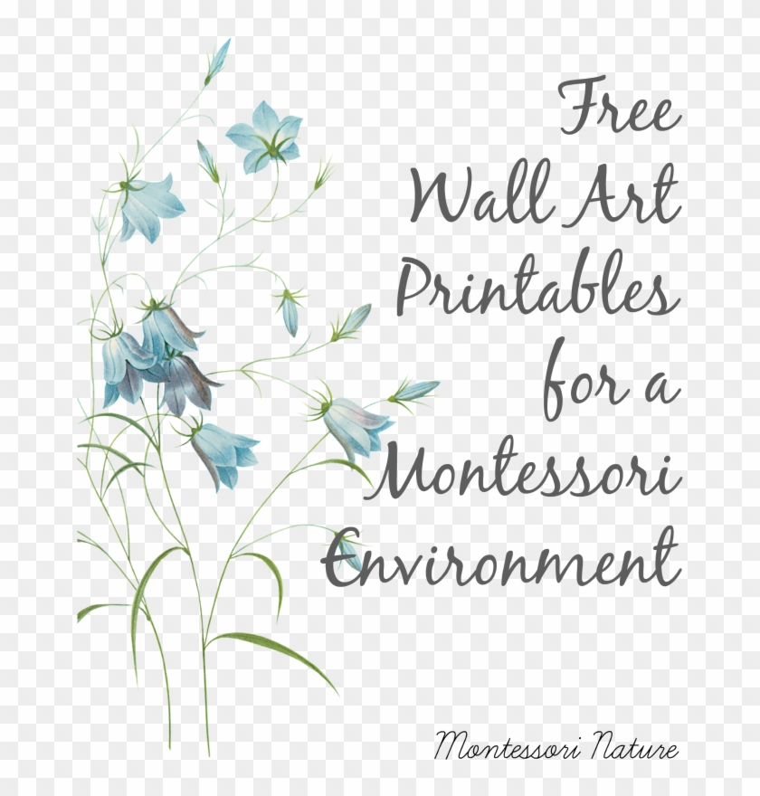 Free Wall Art Printables For A Montessori Environment Montessori Art