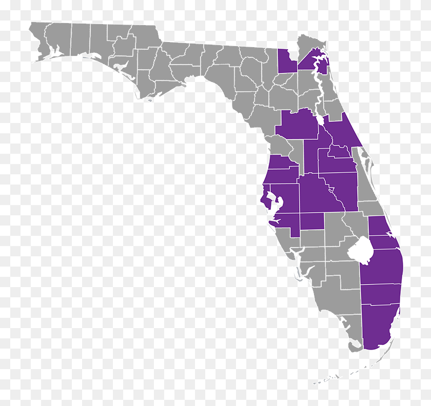 Serving The Following Counties - Florida Voter Turnout, HD Png Download ... Serving The Following Counties - Florida Voter Turnout, HD Png Download ...