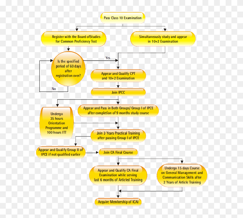 Ca Course Flowchart - Become Ca In India, HD Png Download - 646x693 ... Ca Course Flowchart - Become Ca In India, HD Png Download - 646x693 ...