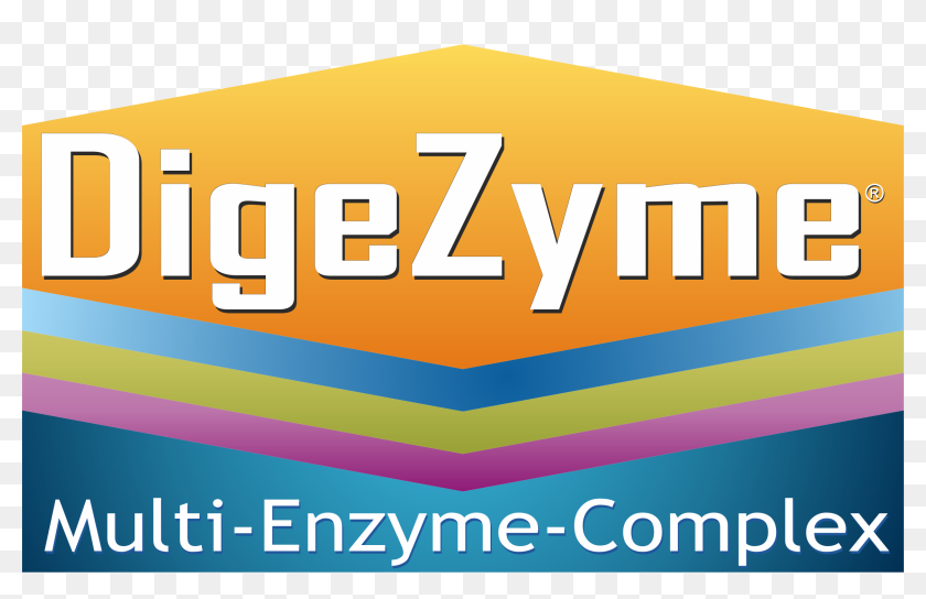Functional Dyspepsia Is Referred To As “non-ulcer Dyspepsia ... Functional Dyspepsia Is Referred To As “non-ulcer Dyspepsia ...