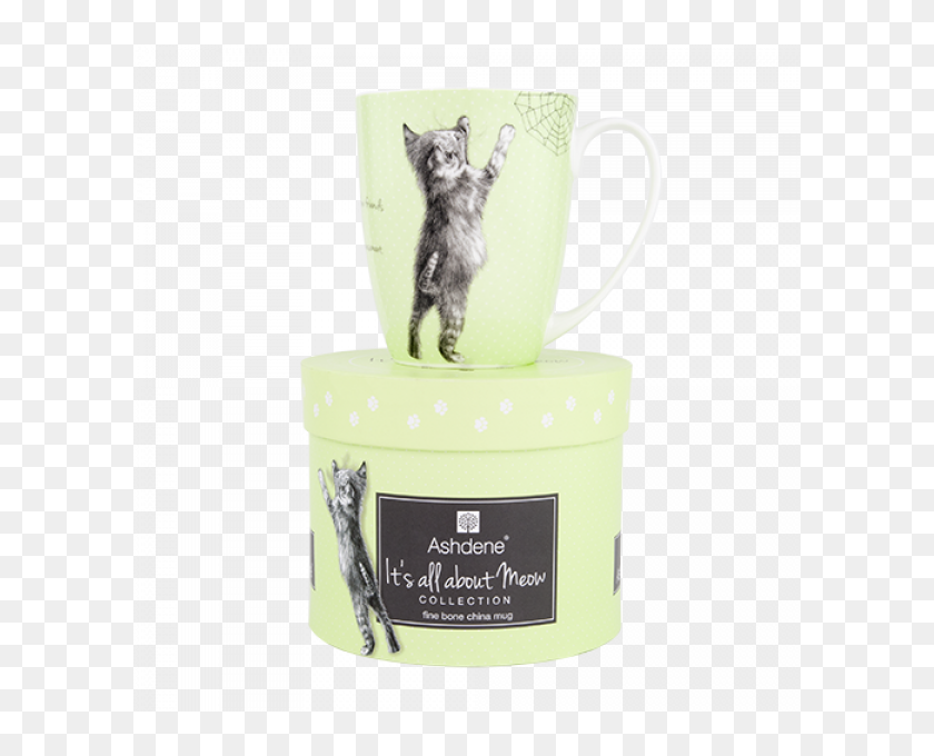Domestic Short-haired Cat, HD Png Download - 600x600 (#4256619) - PinPng Domestic Short-haired Cat, HD Png Download - 600x600 (#4256619) - PinPng