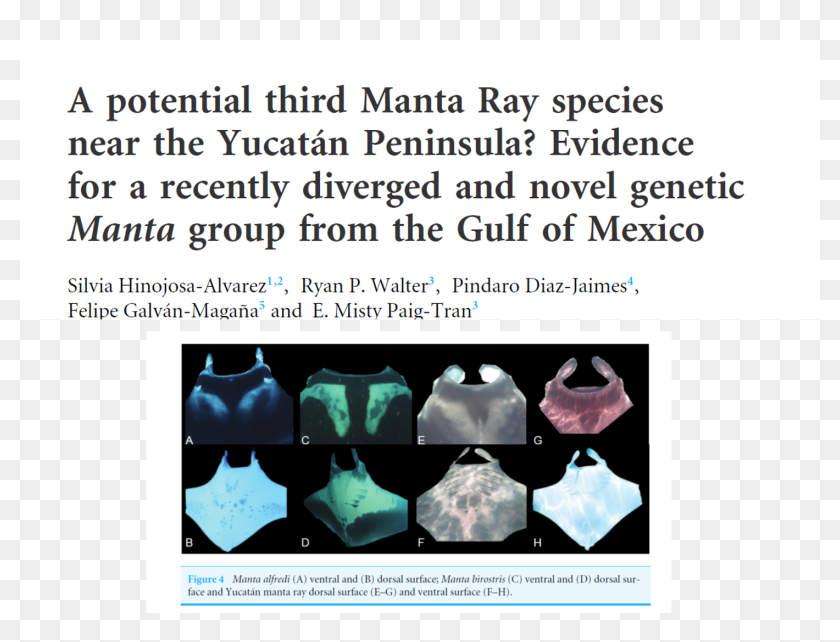 Presented Molecular And Spatial Distribution Data To Pattern Hd Png