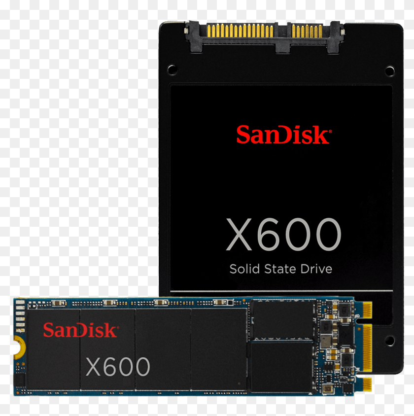 Image - Sandisk X600 Review, HD Png Download - 1024x1280 (#4866334) - PinPng
