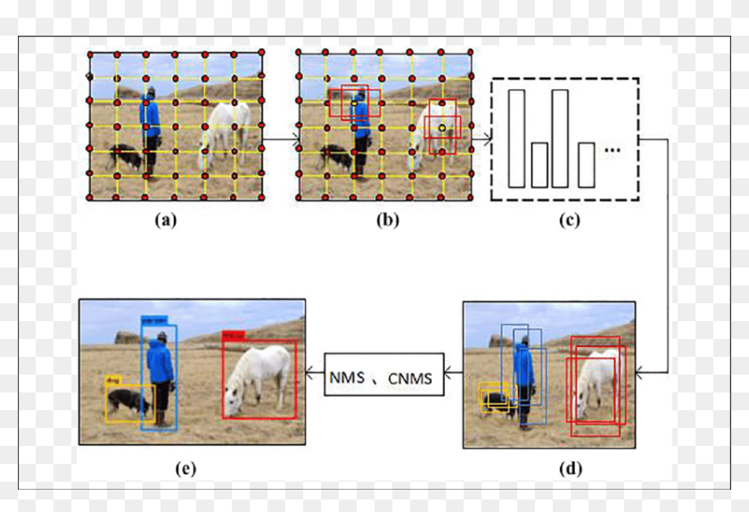 The Object Detection Process Of M Yolo Anchor Boxes Object Detection