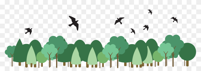Graphic Showing Birds Flying Above Trees - Birds Flying Above The Trees ... Graphic Showing Birds Flying Above Trees - Birds Flying Above The Trees ...