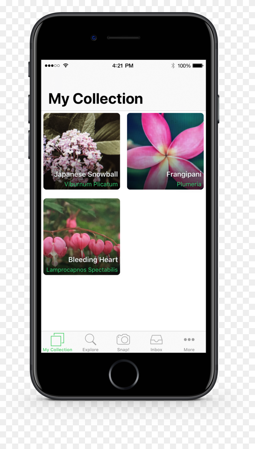 Ios App Subtitle, HD Png Download - 1106x1894 (#6122517) - PinPng Ios App Subtitle, HD Png Download - 1106x1894 (#6122517) - PinPng