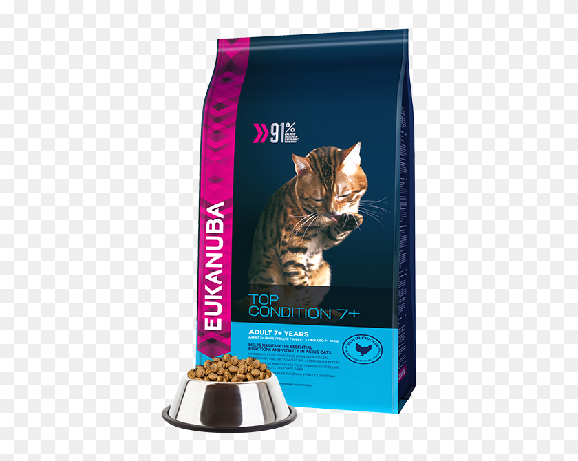 Eukanuba Senior Dry Cat Food Top Condition 7 " Data - Eukanuba Cat, HD ...