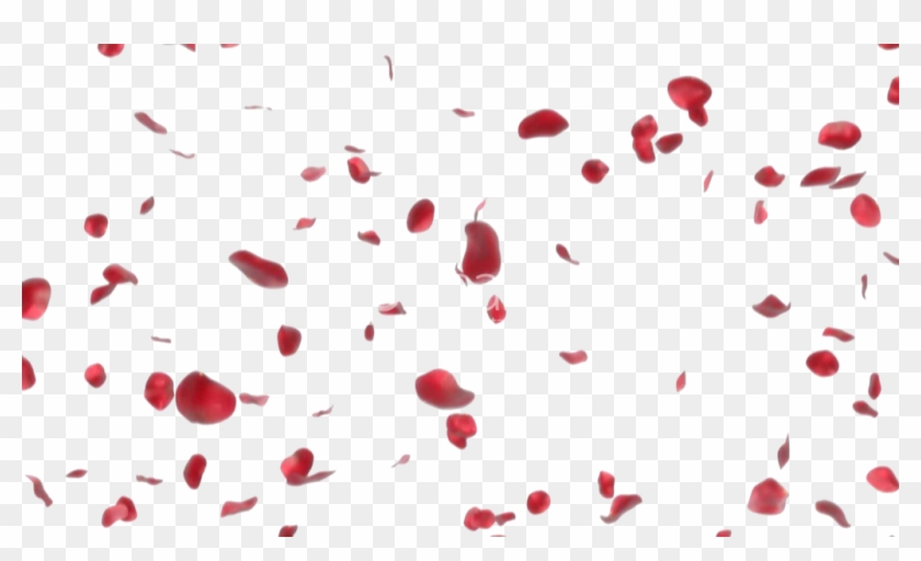 Rose Petals Png Image Rose Petals Falling Gif Png Transparent Png 